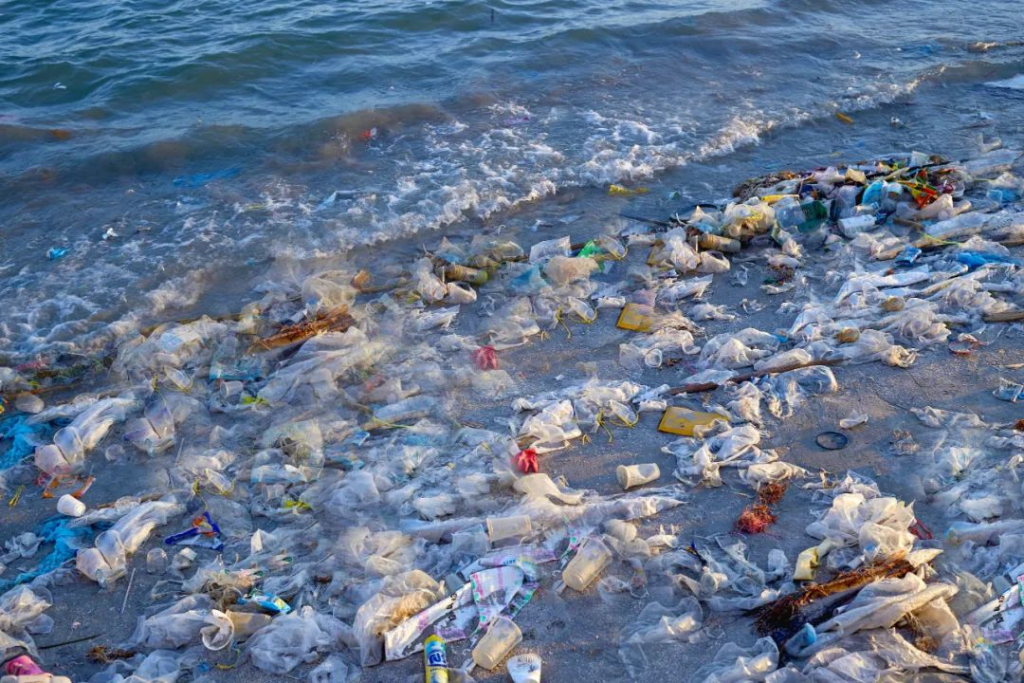 Transforming Plastic Waste into Energy: The Green Revolution from ...